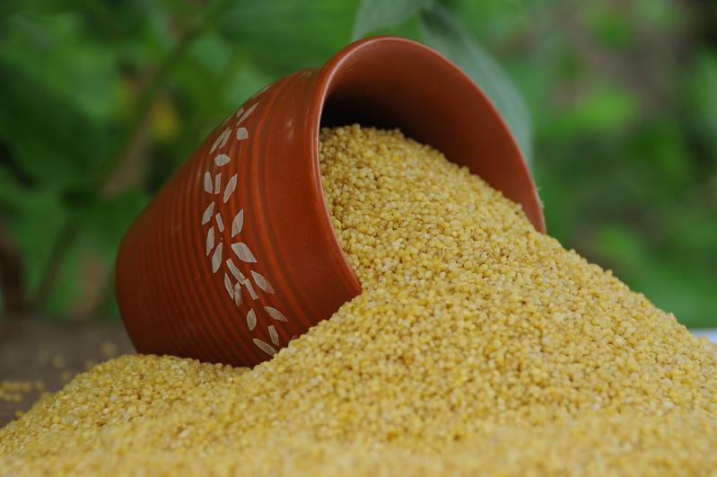 These 5 Indian Millets Are True Powerhouses of Health – Welcome to ...